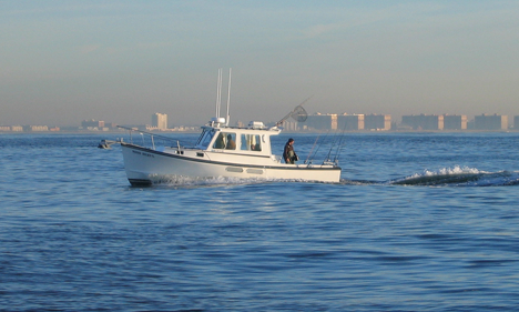 About the Miss Beryl